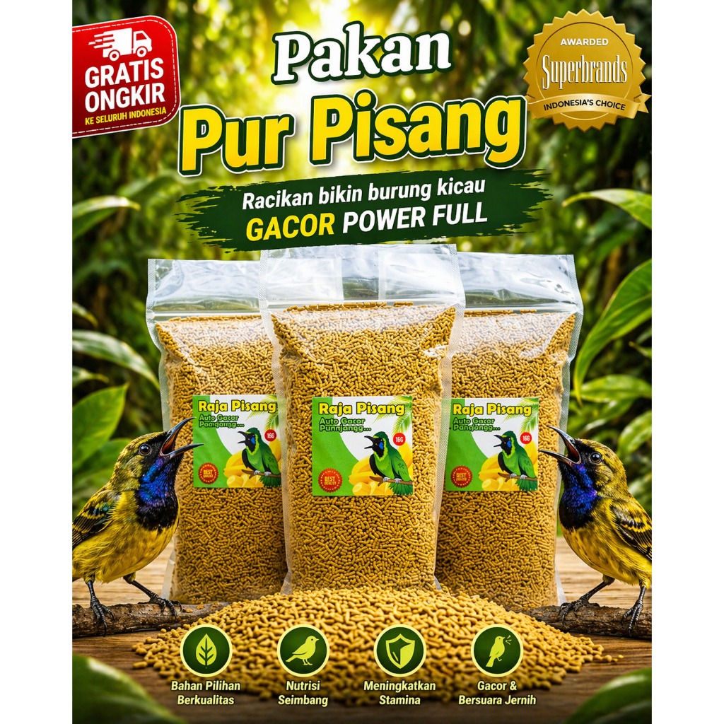 Jual Voer Cucak Ijo Terlengkap & Harga Terbaru Juni 2026 | Shopee Indonesia