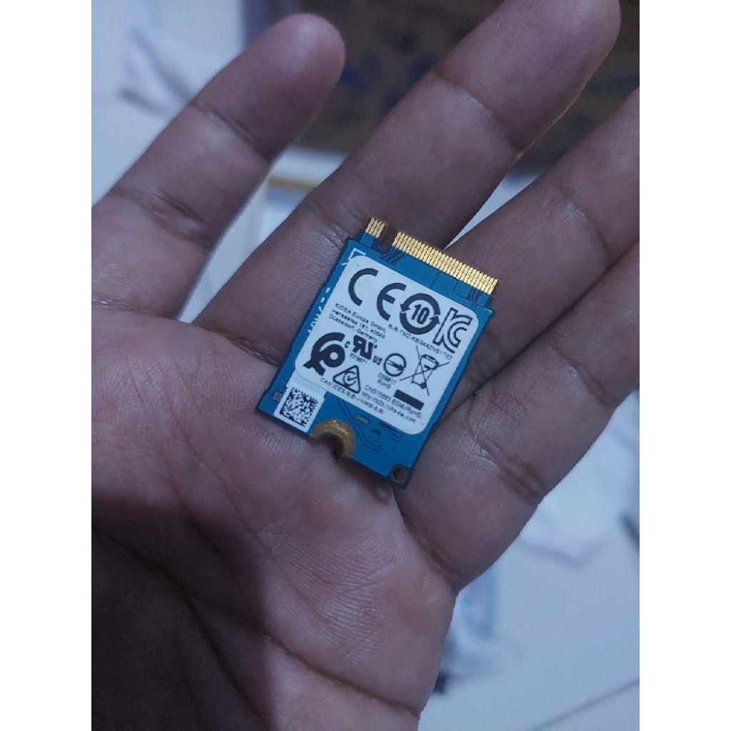 Jual ssd m.2 nvme sata 256GB merk kioxia | Shopee Indonesia