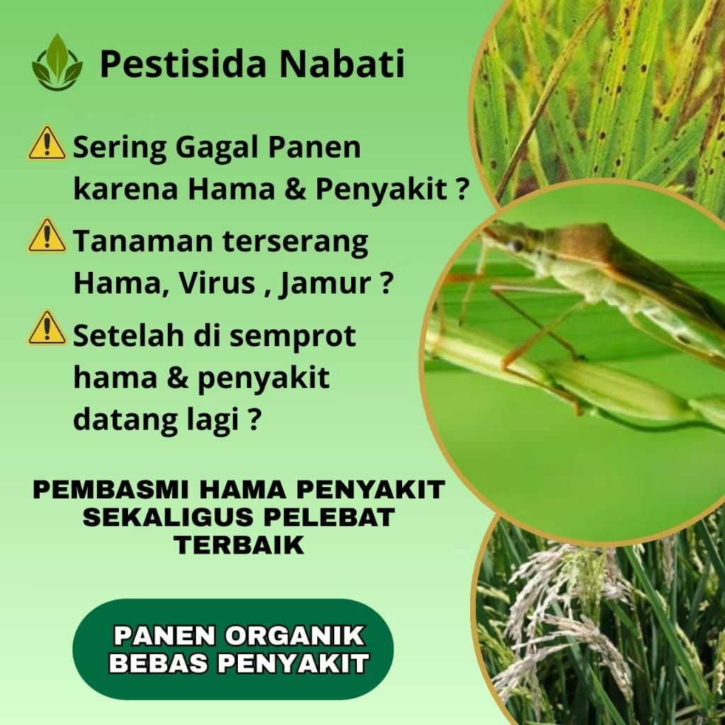 Jual Obat Walang Sangit Padi Terlengkap & Harga Terbaru Juni 2026 ...