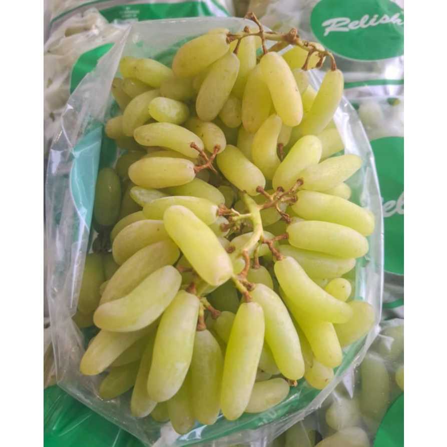 Jual Anggur Jari Terlengkap & Harga Terbaru Mei 2026 | Shopee Indonesia