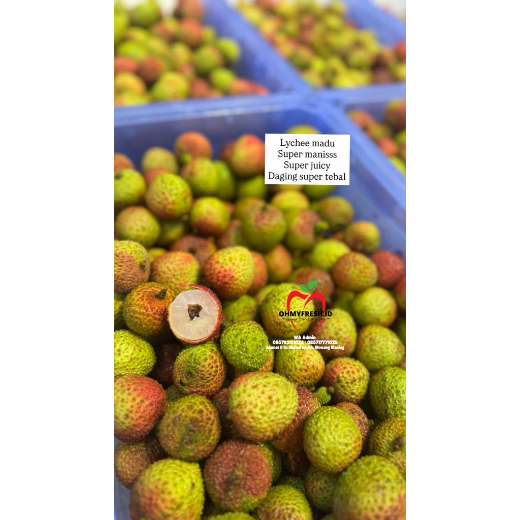 Jual Buah Leci Terlengkap & Harga Terbaru Mei 2026 | Shopee Indonesia