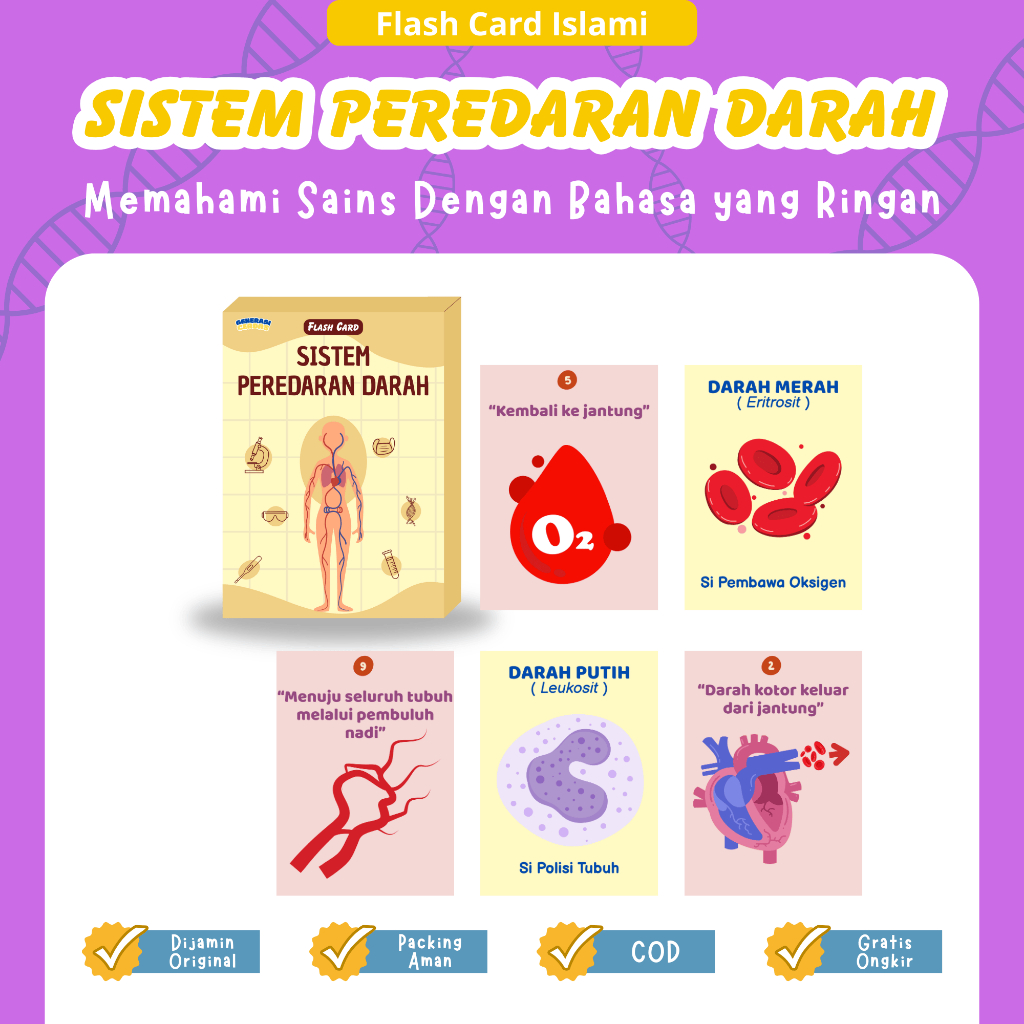 Jual Flash Card Sains Sistem Peredaran Darah - Mainan Edukatif 24 Card ...