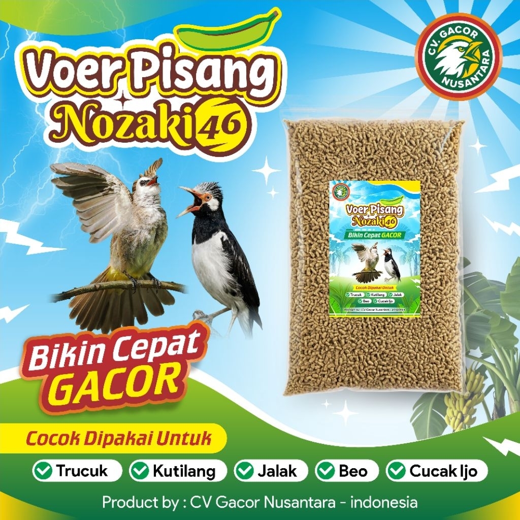Jual Voer Cucak Ijo Terlengkap & Harga Terbaru Juni 2026 | Shopee Indonesia
