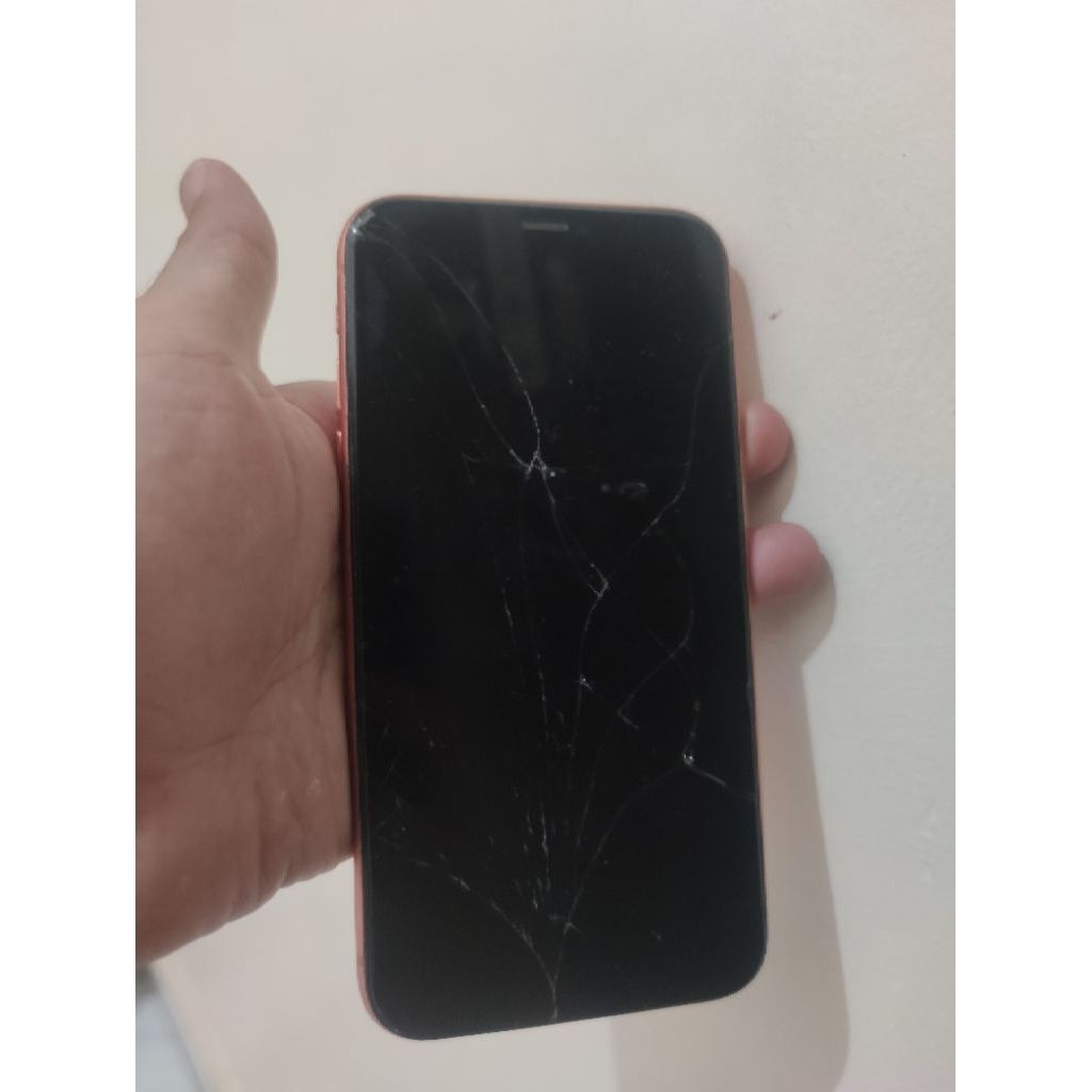 Jual Harga Iphone Xr Second Terlengkap & Harga Terbaru Juni 2026 ...