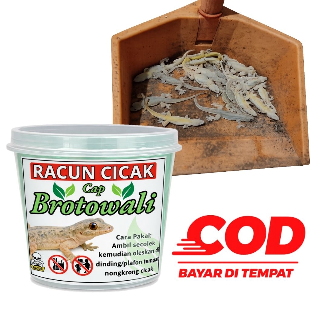 Jual Racun cicak 20gr Pembasmi Cicak Ampuh | Shopee Indonesia