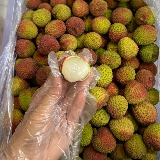 Jual Buah Leci Terlengkap & Harga Terbaru Mei 2026 | Shopee Indonesia