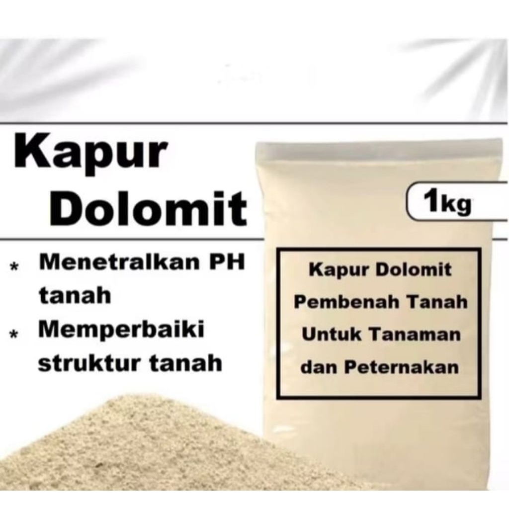 Jual Kapur Dolomit Terlengkap & Harga Terbaru Juni 2026 | Shopee Indonesia