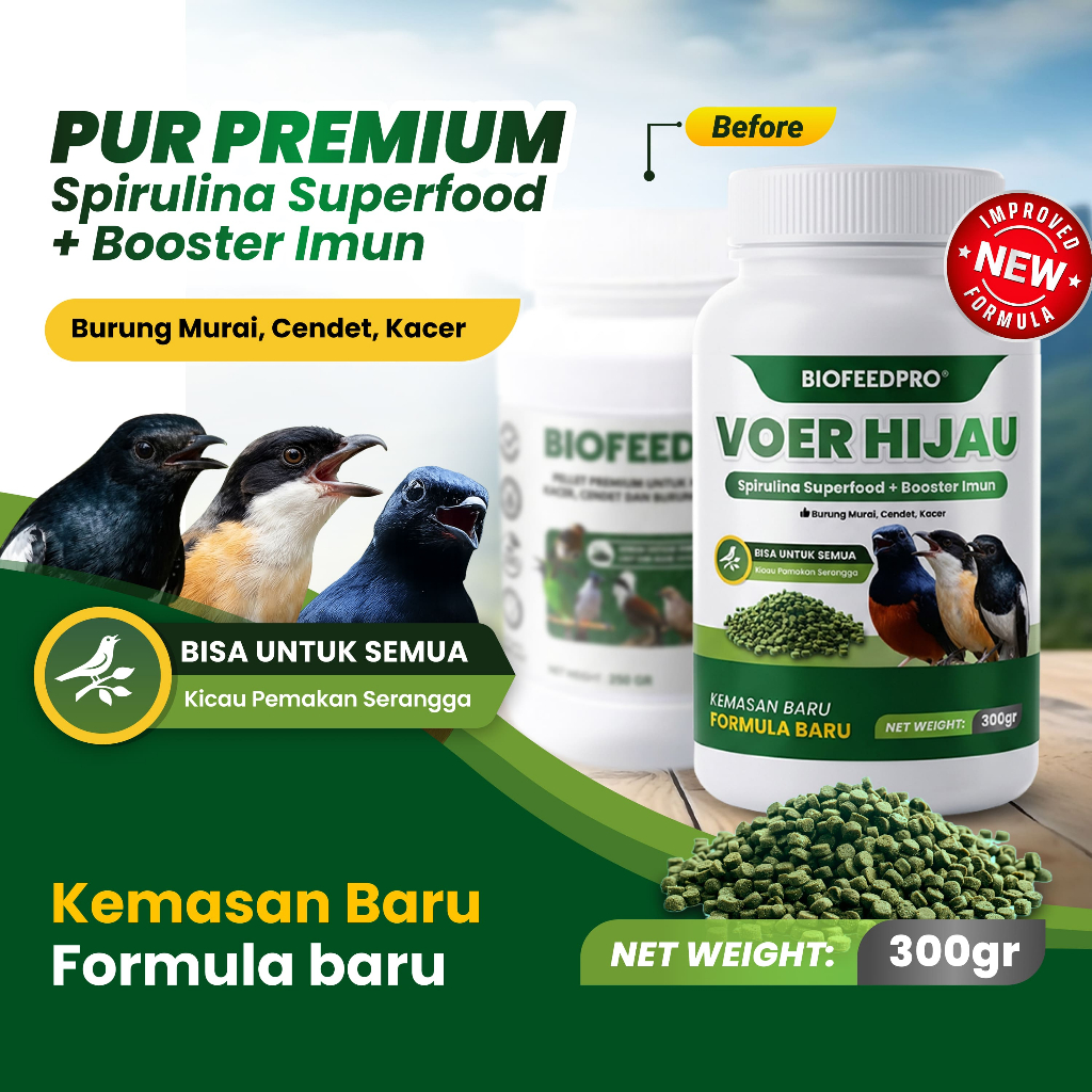 Jual Voer Cucak Ijo Terlengkap & Harga Terbaru Juni 2026 | Shopee Indonesia