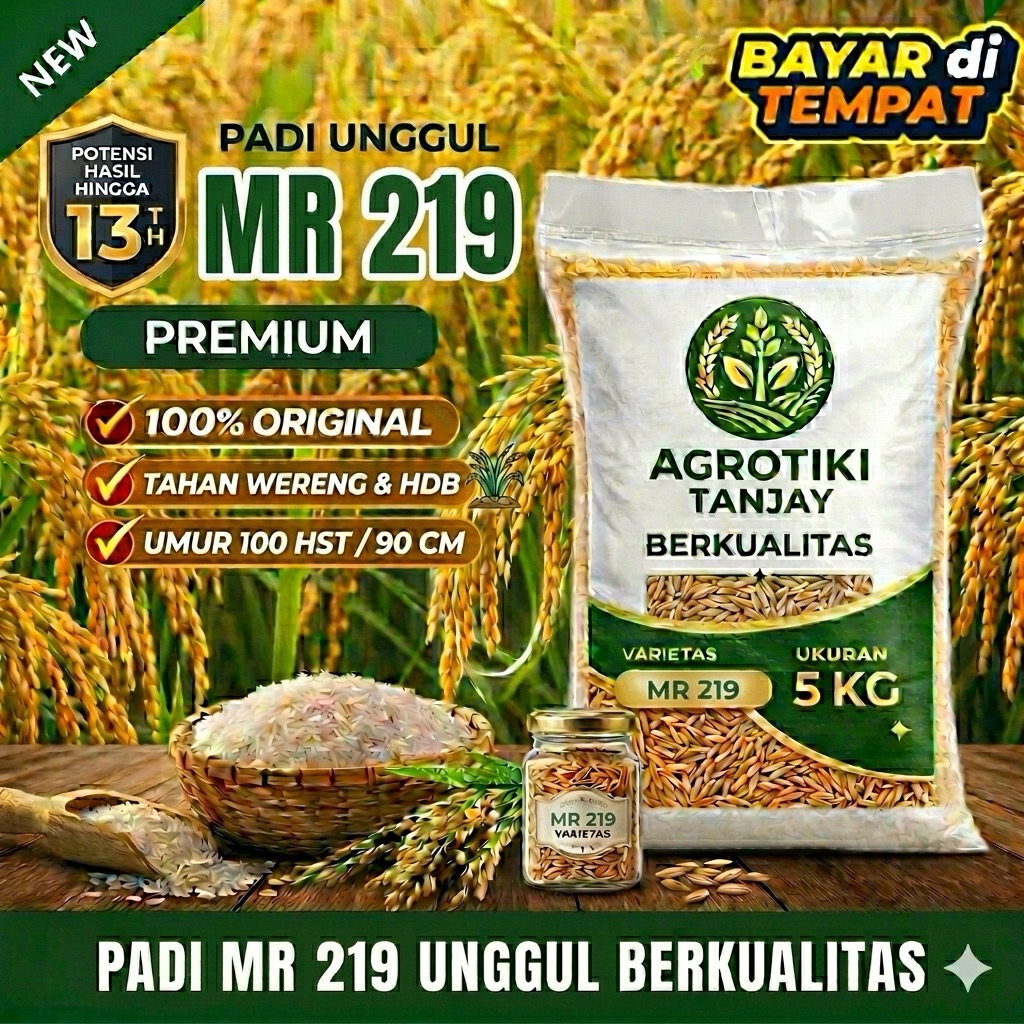 Jual benih padi mr 219 original berkualitas benih padi unggul baru 2025 ...