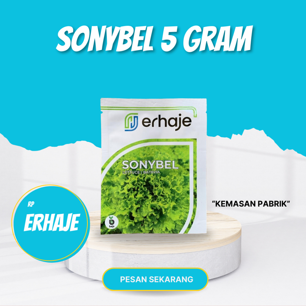 Jual SONYBEL 5 GR BENIH Selada batavia erhaje | Shopee Indonesia