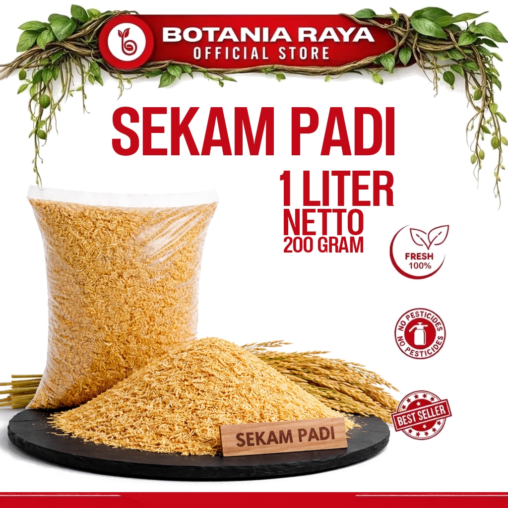 Jual BOTANIA RAYA Sekam Padi Kemasan 1 Liter Netto 200 Gram / Sekam ...