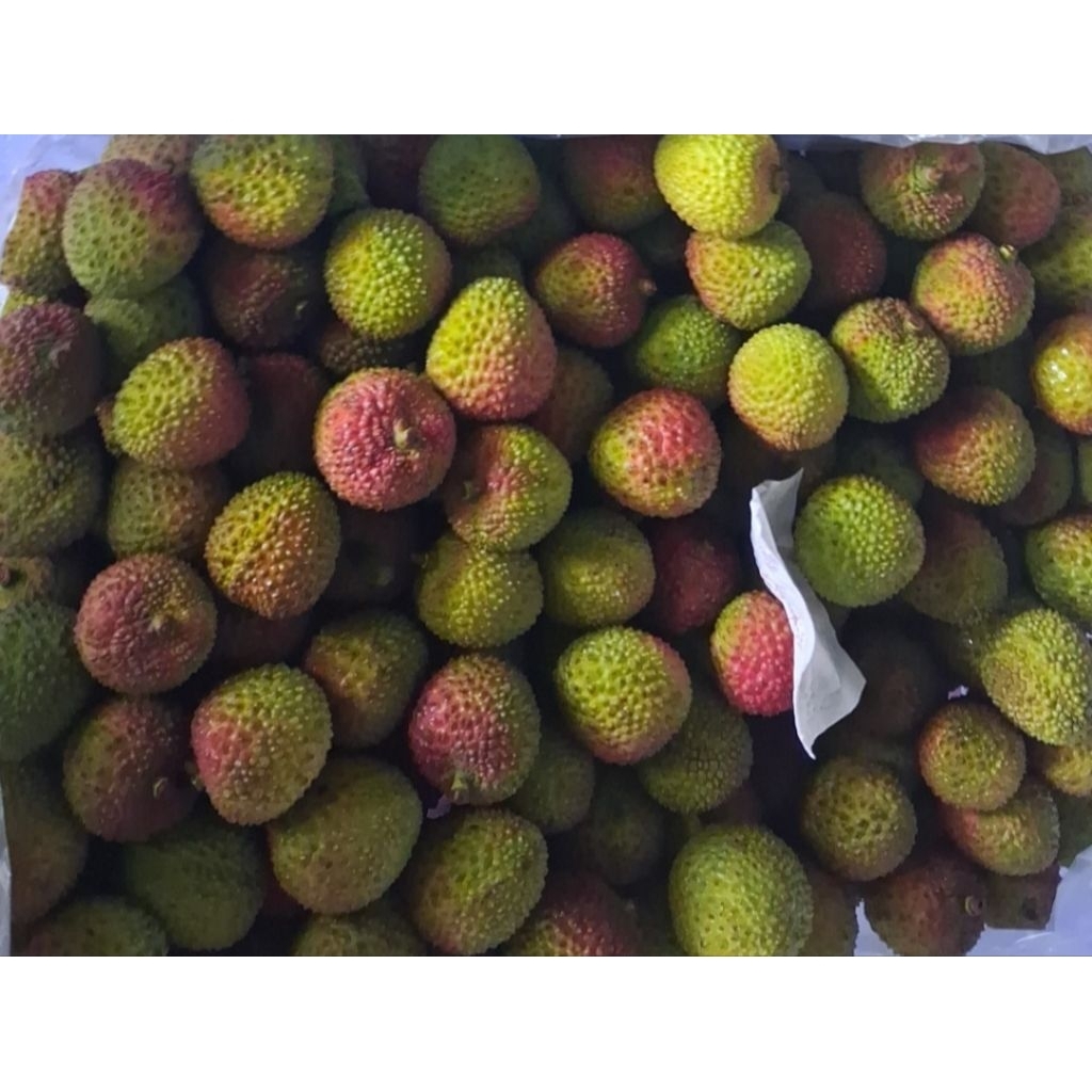 Jual Buah Leci Terlengkap & Harga Terbaru Mei 2026 | Shopee Indonesia