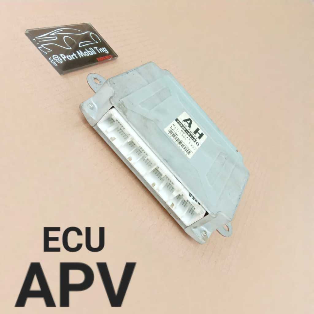 Jual Ecu Ecm Computer Komputer Suzuki APV Old Lama 33920-61J01 (AA ...