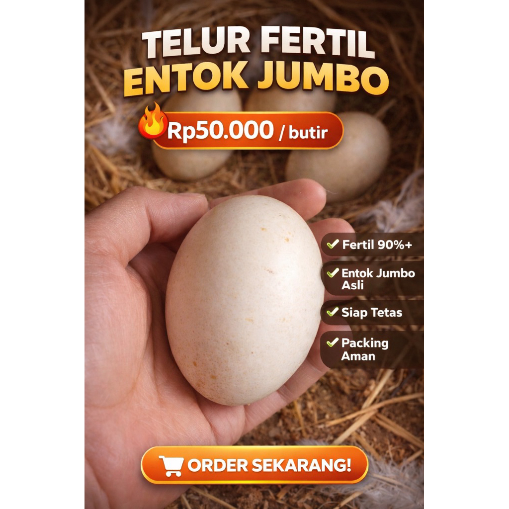 Jual Entok Jumbo Terlengkap & Harga Terbaru Mei 2026 | Shopee Indonesia