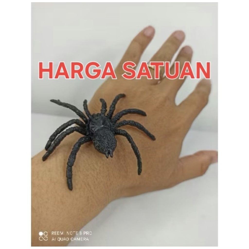 Jual mainan laba laba karet besar hitam 8cm | Shopee Indonesia