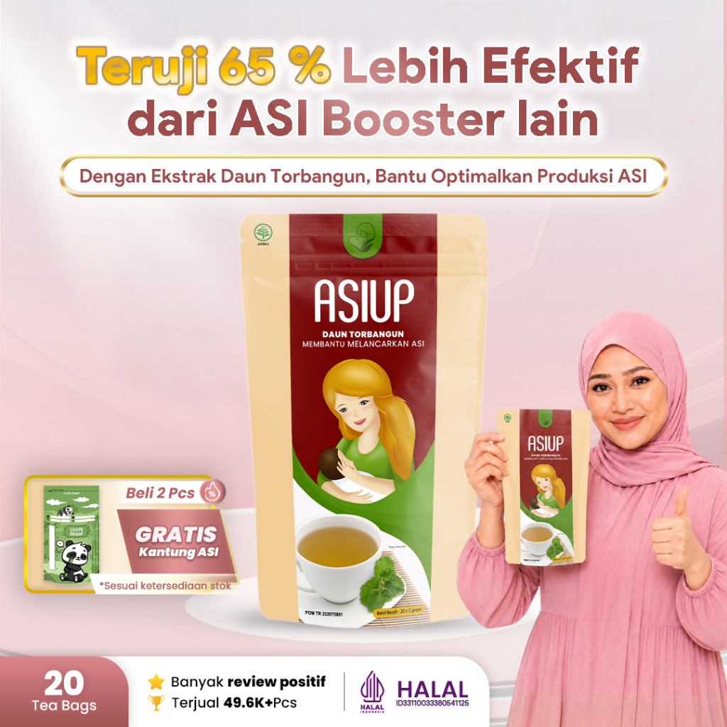 Jual ASI UP TEA (Torbangun) | Teh Celup Herbal Alami Membantu ...