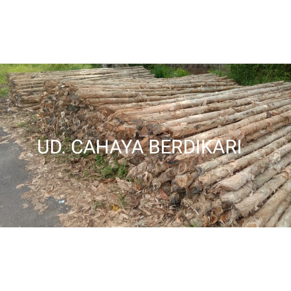Jual Kayu Gelam Terlengkap & Harga Terbaru Mei 2026 | Shopee Indonesia