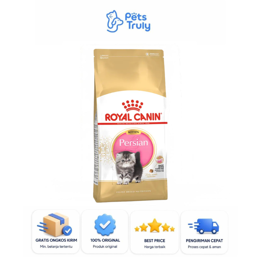 Jual Kucing BSH Terlengkap & Harga Terbaru Juni 2026 | Shopee Indonesia
