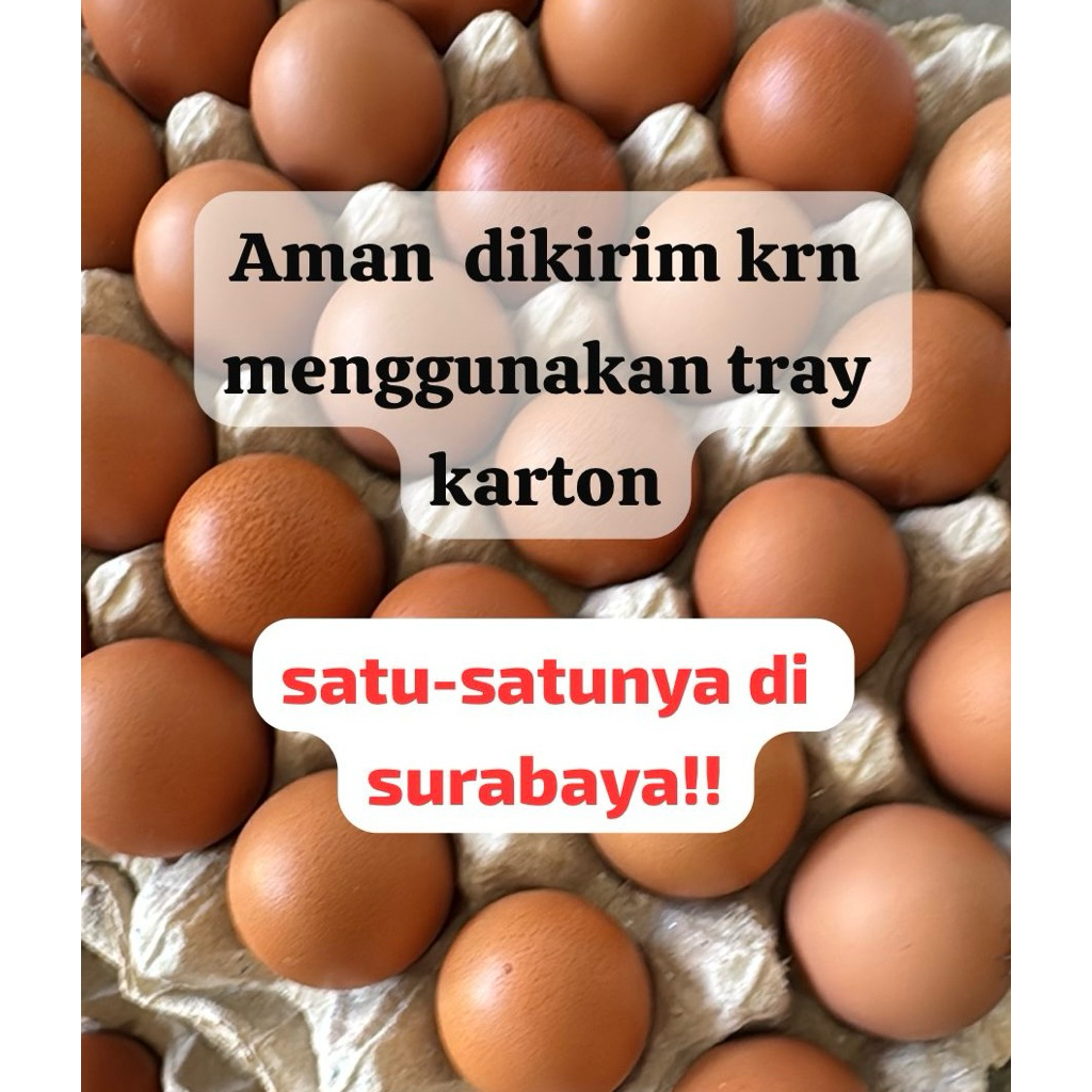 Jual telur ayam 1 kg Harga Terbaik & Termurah Juni 2026 | Shopee Indonesia
