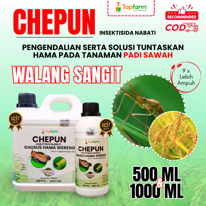 Jual Insektisida Pembasmi Walang Sangit Untuk Padi / Obat Semprot Hama ...