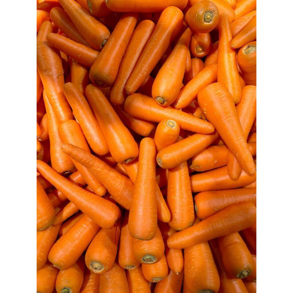 Jual Wortel 1 Kg Terlengkap & Harga Terbaru April 2026 | Shopee Indonesia
