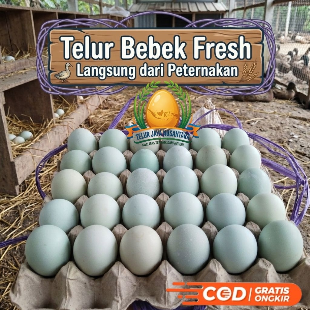 Jual 1 Butir Telur Terlengkap & Harga Terbaru Mei 2026 | Shopee Indonesia