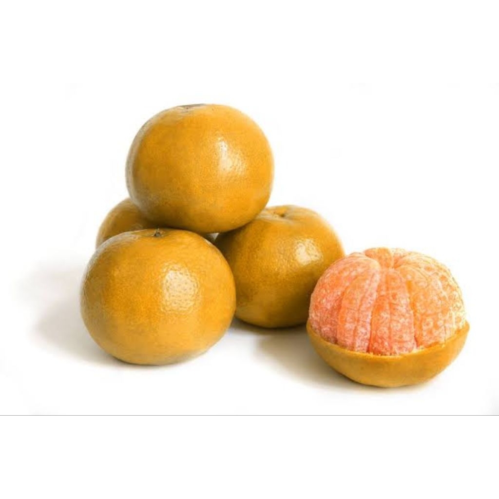 Jual Jeruk Siam Madu Terlengkap & Harga Terbaru Juni 2026 | Shopee ...