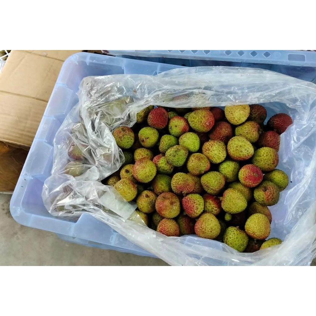 Jual Buah Leci Terlengkap & Harga Terbaru Juni 2026 | Shopee Indonesia