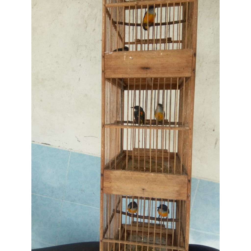 Jual Kemade Bunga Api Terlengkap & Harga Terbaru Juni 2026 | Shopee ...