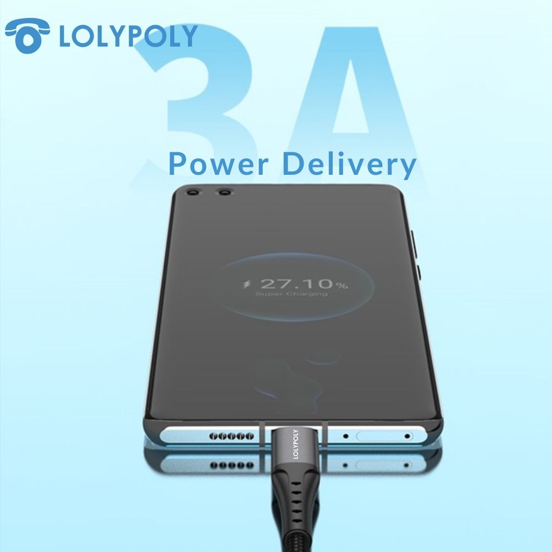 Jual LOLYPOLY Kabel Charger 107 USB C to Lightning / Type C to Type C ...