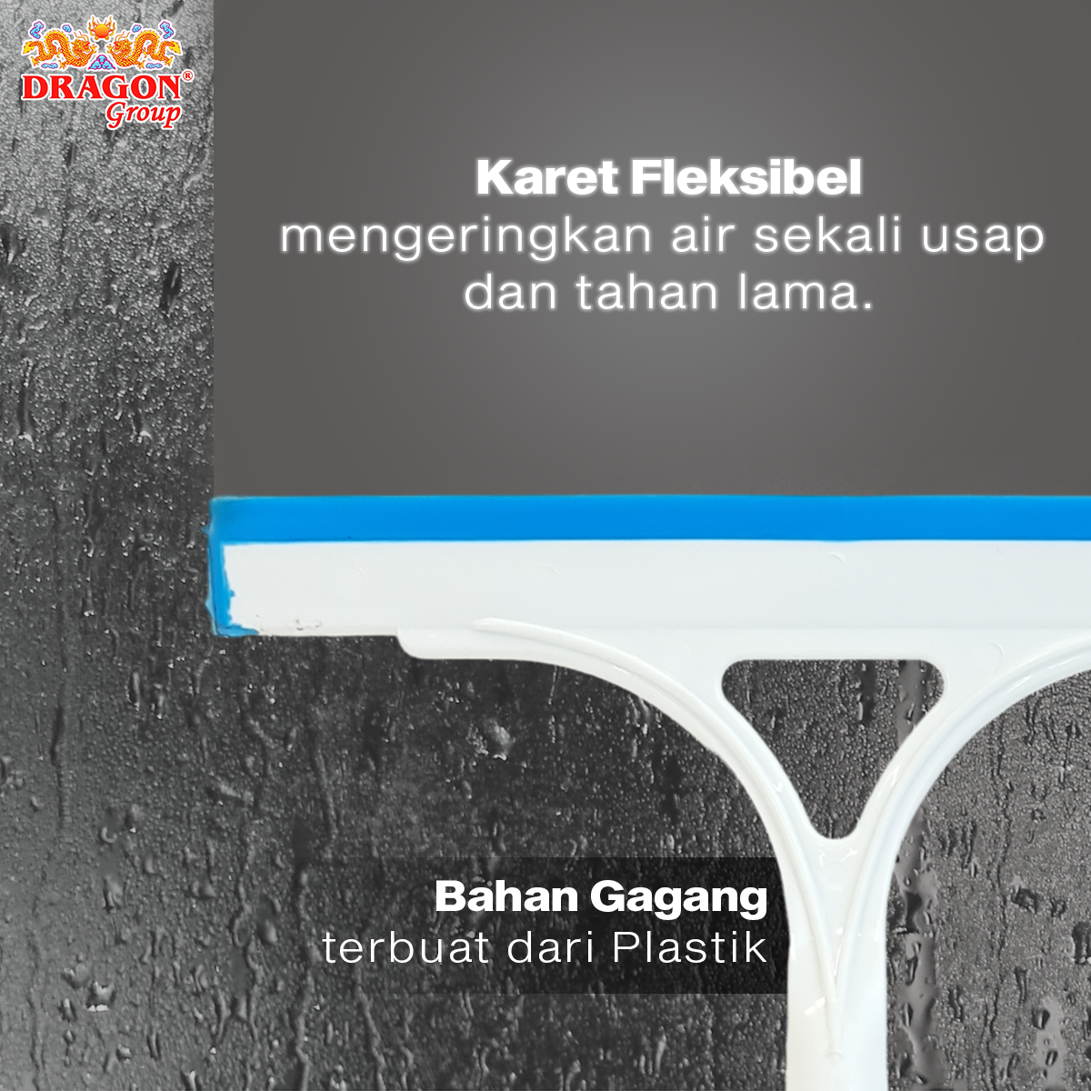 Jual DRAGON Wefer Air Kaca 25,5 Cm Pembersih Kaca Cermin Glass Cleaner ...