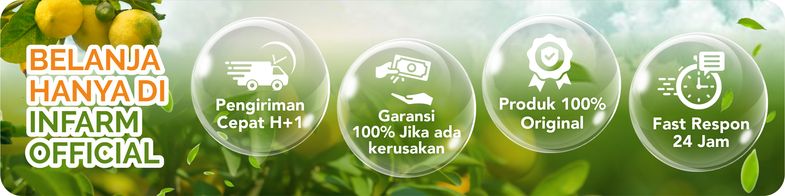Jual INFARM - Ekstrak Neem Oil Minyak Daun Mimba 125ml Pestisida ...