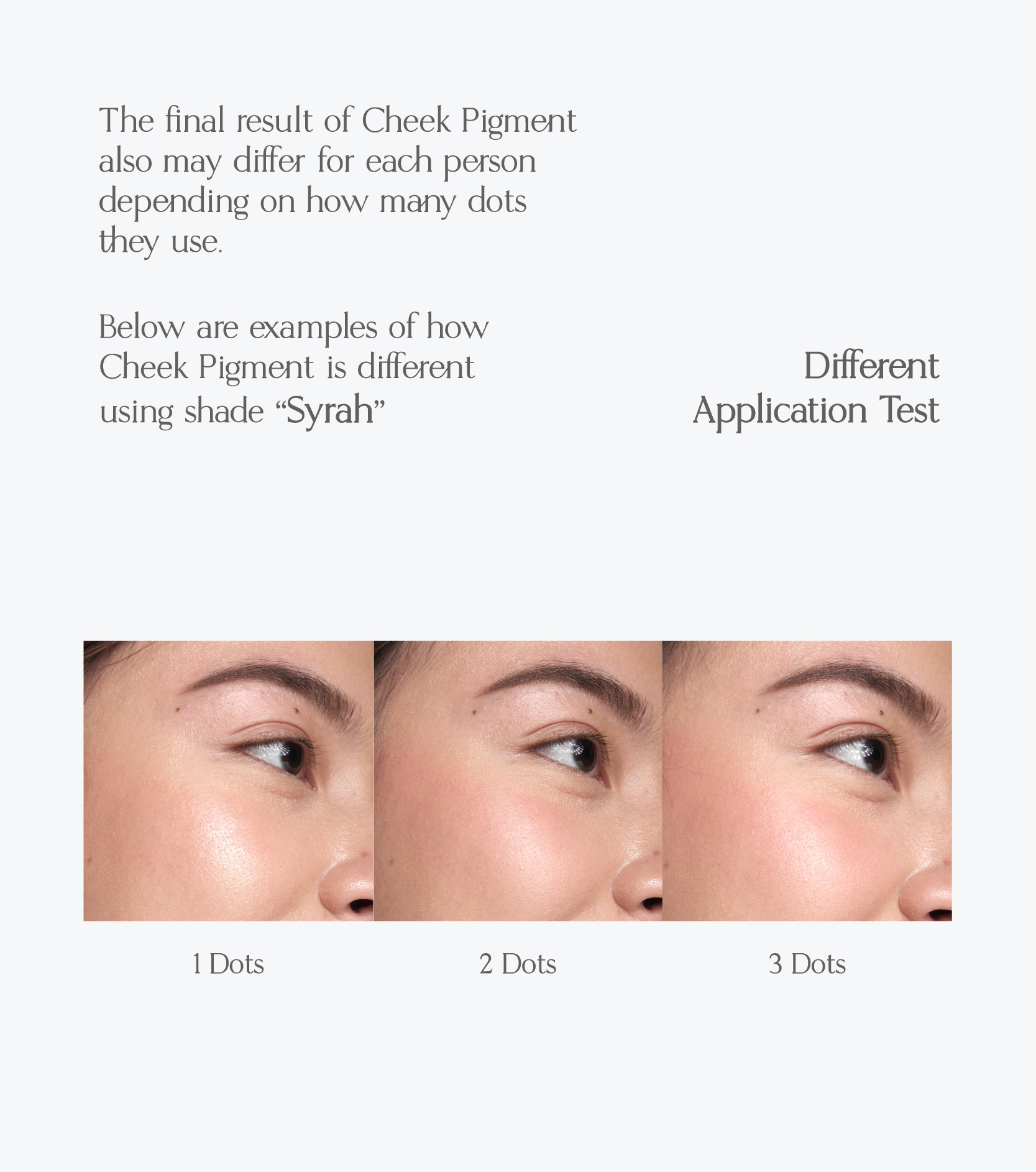 Jual Allglows - Cheek Pigment (Liquid Blush, Matte Finish, 8 Hours ...