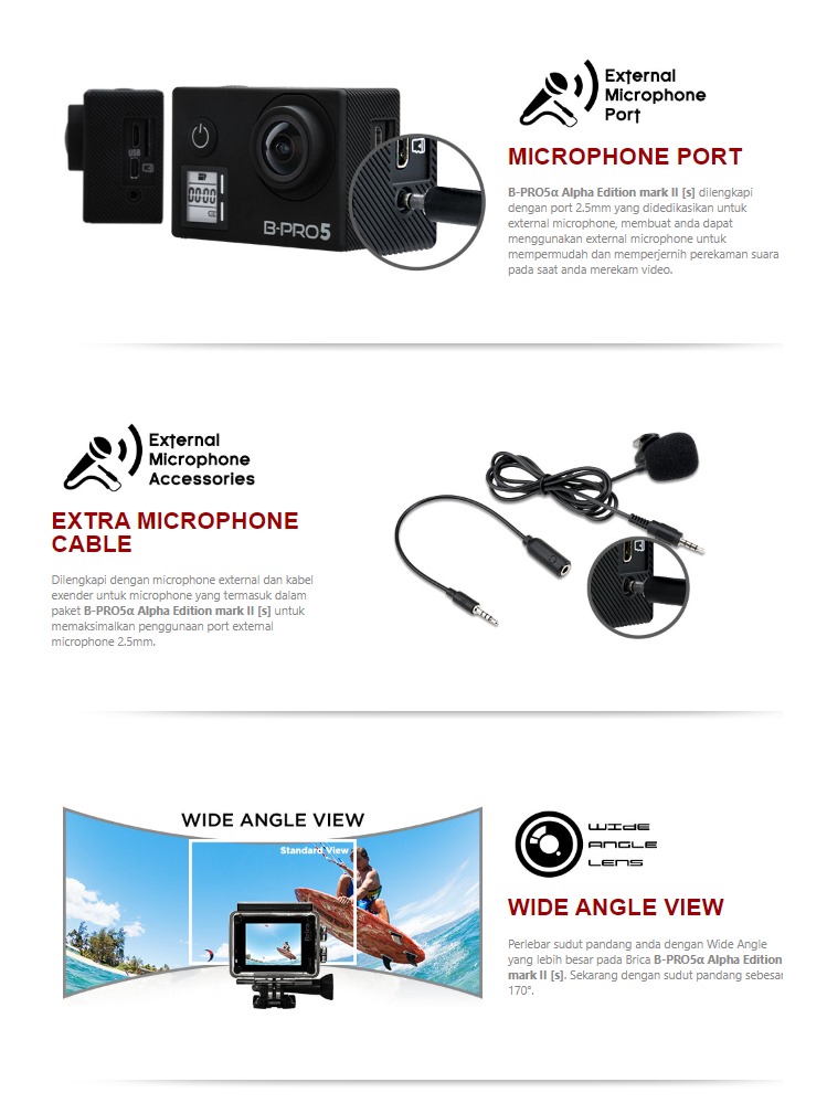 Jual Brica B-Pro 5 - BPRO5 Alpha Edition 4K Mark II S (AE2S) Black ...