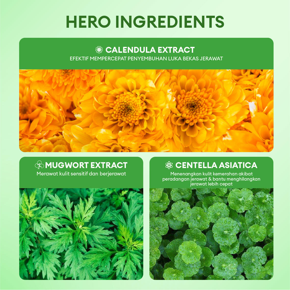 Jual PAKET ACNE FIGHTER (Animate Intense Acne Solution Series 5in1 ...