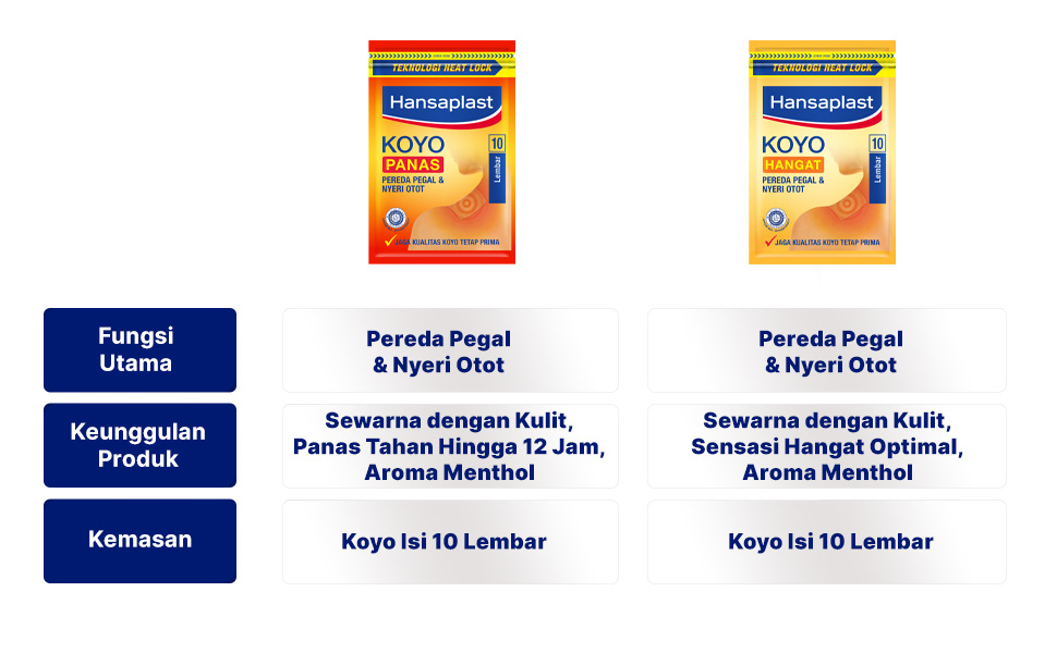 Jual HANSAPLAST Koyo Hangat Resealable isi 10 P3K Zip Lock - 1 Box ...