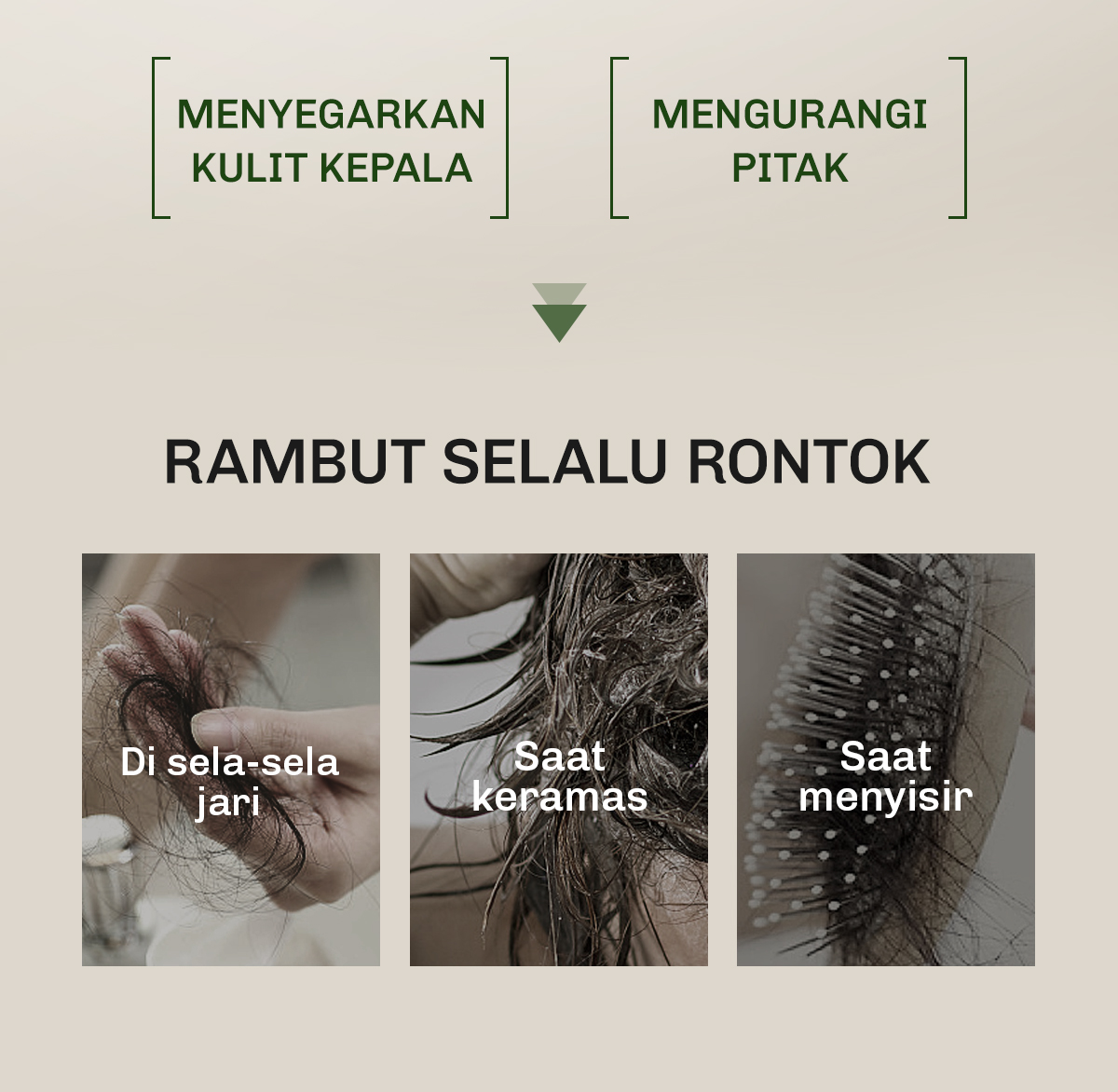 Jual [HAIR FALL CARE SET] Lavojoy Hold Me Tight Pro Shampoo ...