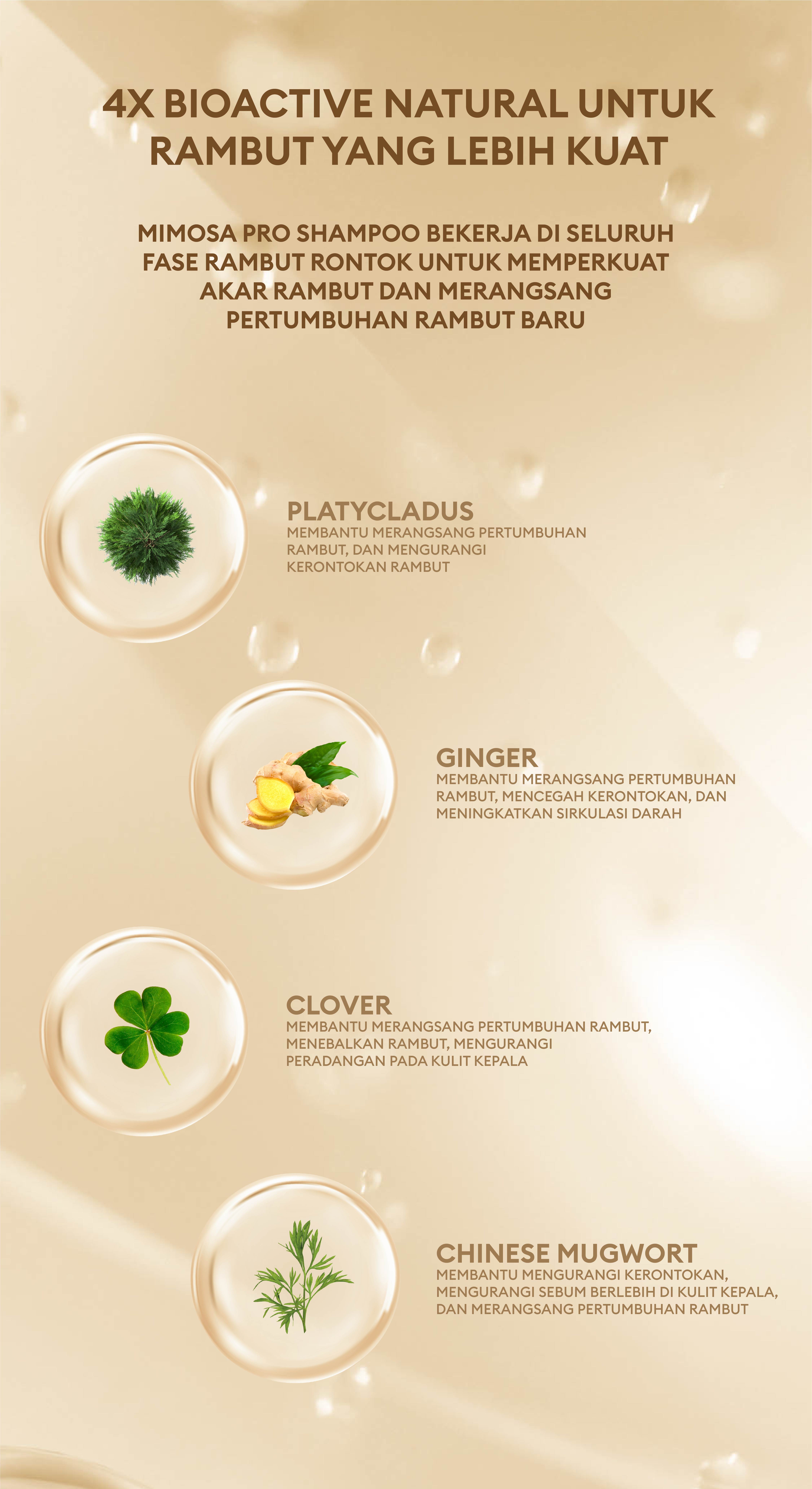 Jual THE BATH BOX - Mimosa Pro Haircare (Rambut Rontok, Menguatkan ...