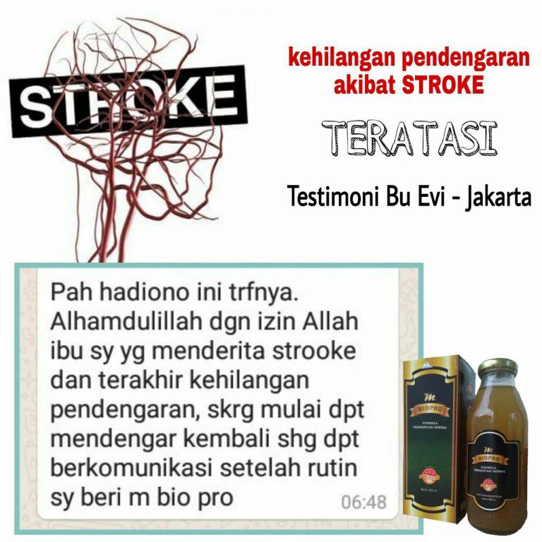 Jual Obat Stroke Paling Ampuh - Stroke Berat - Stroke Ringan - Stroke ...