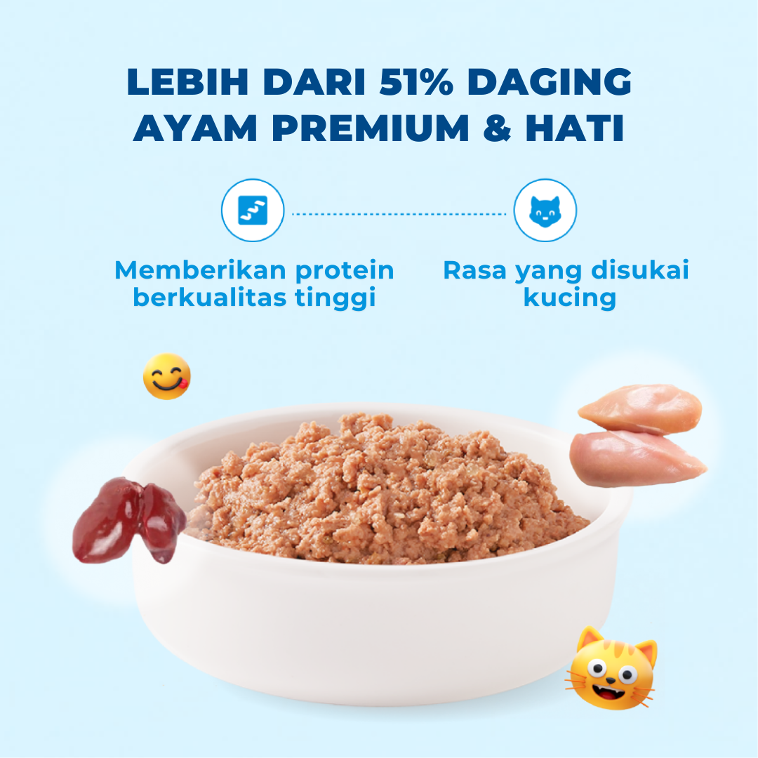 Jual Mr. Vet Cat Pouch - Pouch Makanan Basah 70g Vitamin, Omega-3 dan L ...