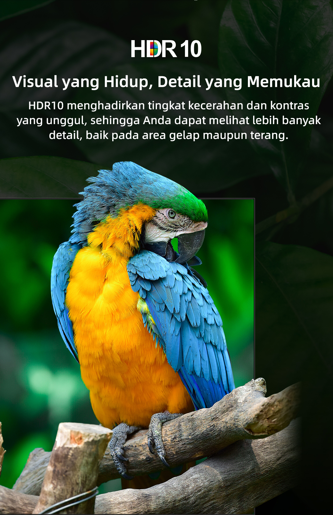 Jual [BEST CHOICE] CHANGHONG GOOGLE SMART TV DIGITAL 43 inch FHD ...