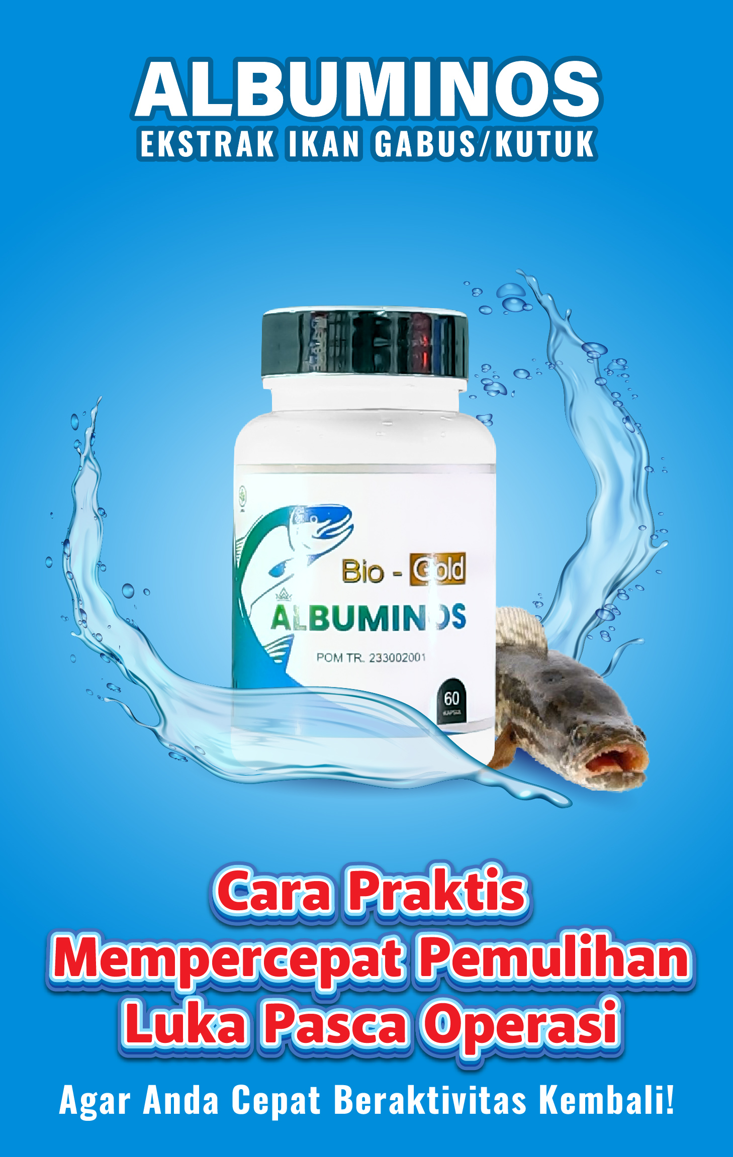 Jual Bio Gold - Albuminos Kapsul Ekstrak Ikan Gabus 500 mg Kutuk ...
