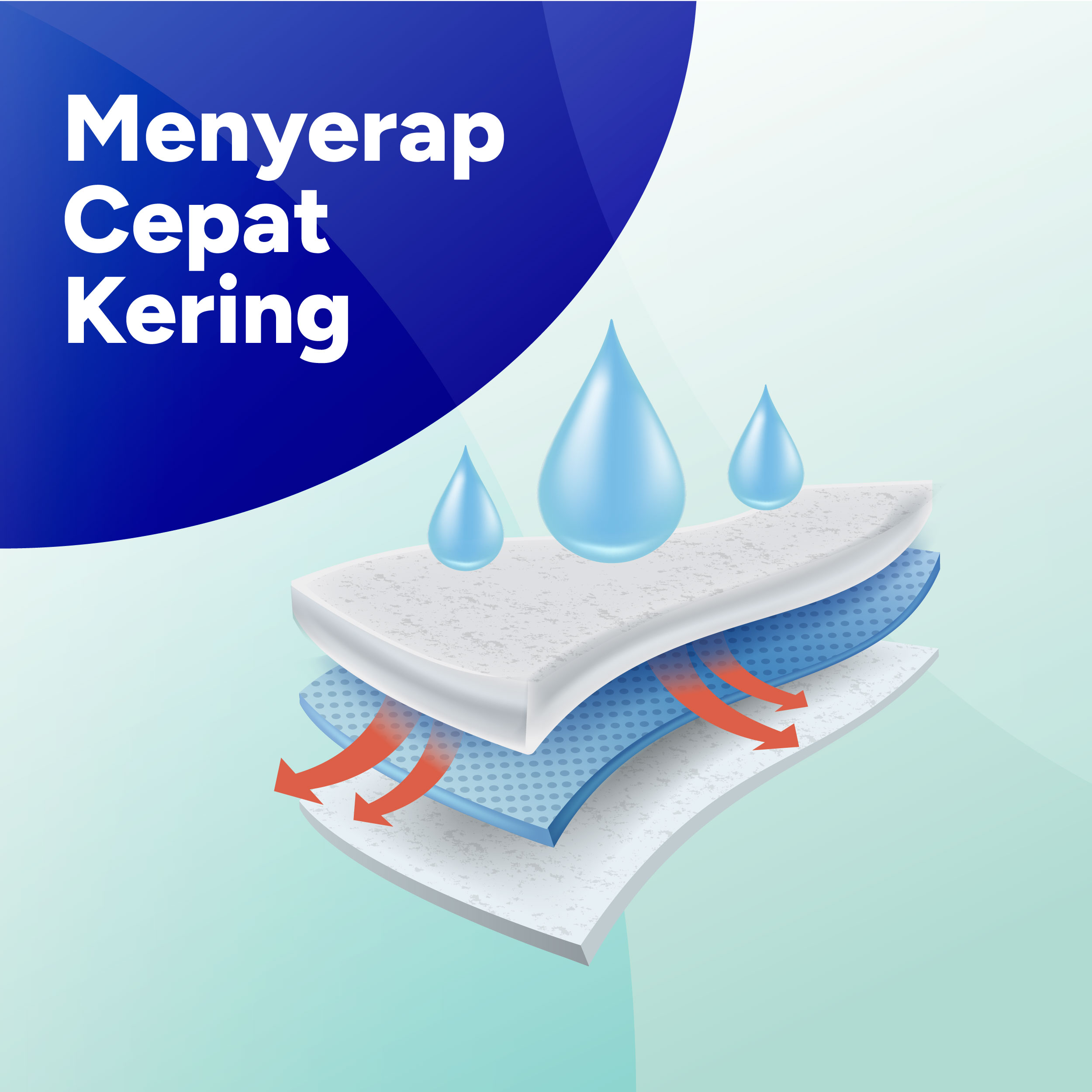 Jual Confidence Popok Dewasa Perekat Classic Day Menyerap Kering L30 ...