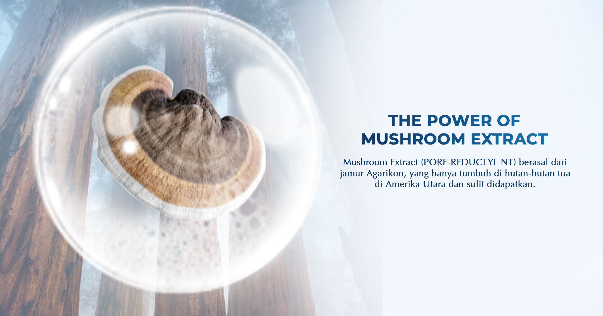 Jual TRUEVE Cera-calming Low pH Facial Cleanser - facial wash sabun low ...