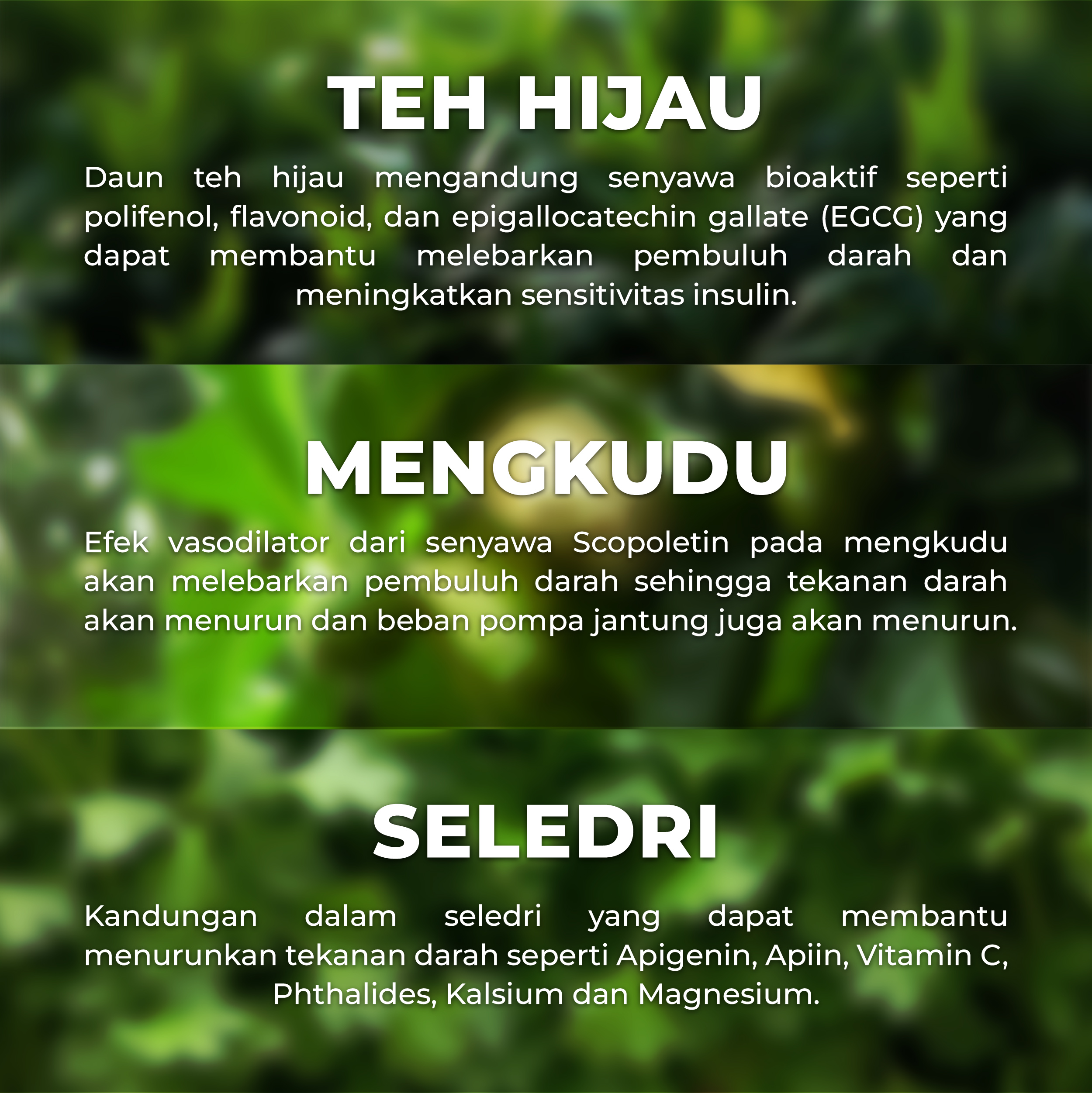 Jual Bye Tens - Premium Tea Teh Obat Hipertensi Kolesterol Gula Darah ...