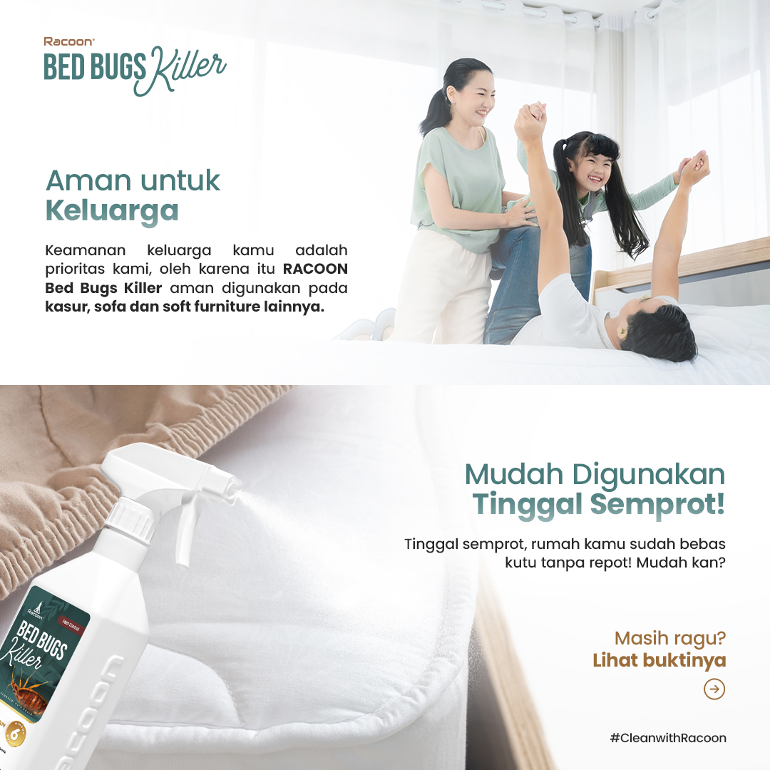 Jual RACOON Bed Bugs Killer Spray Anti Kutu Kasur Tungau / Kutu Busuk ...