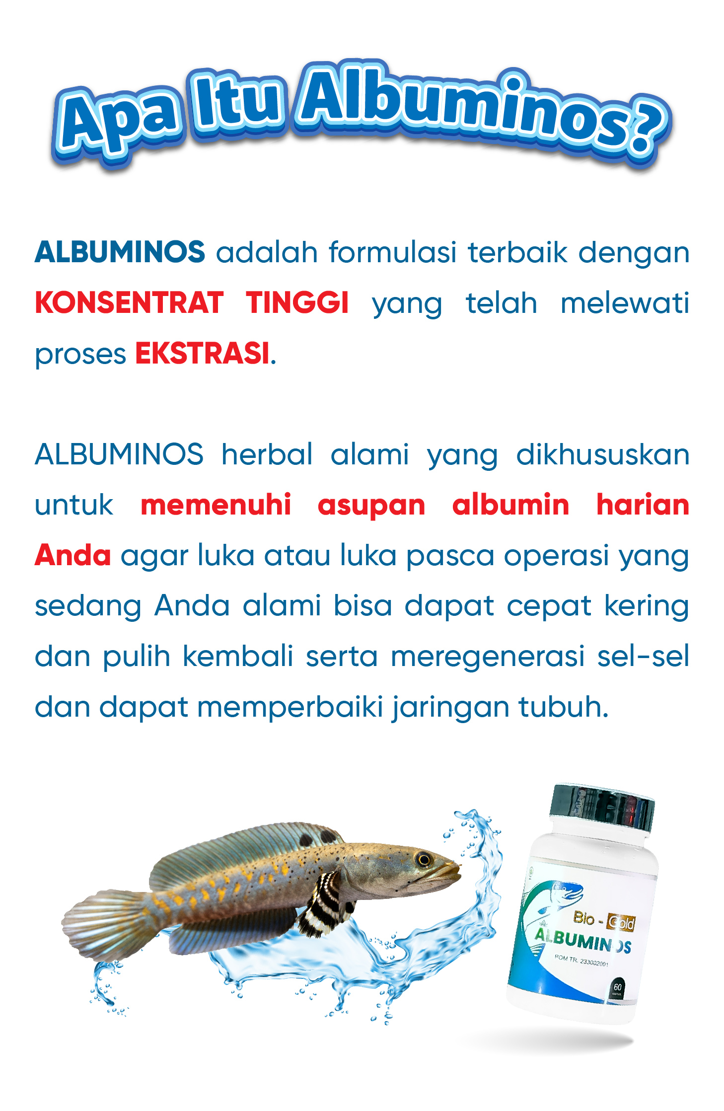 Jual Bio Gold - Albuminos Kapsul Ekstrak Ikan Gabus 500 mg Kutuk Perawatan Luka Pasca Operasi ...