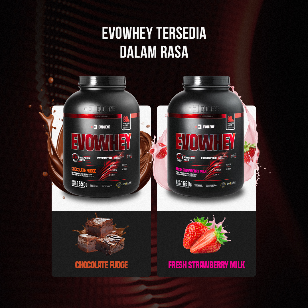 Jual Evolene [NEW] EvoWhey Evosorption -Whey Protein 50 Serving/1550gr ...