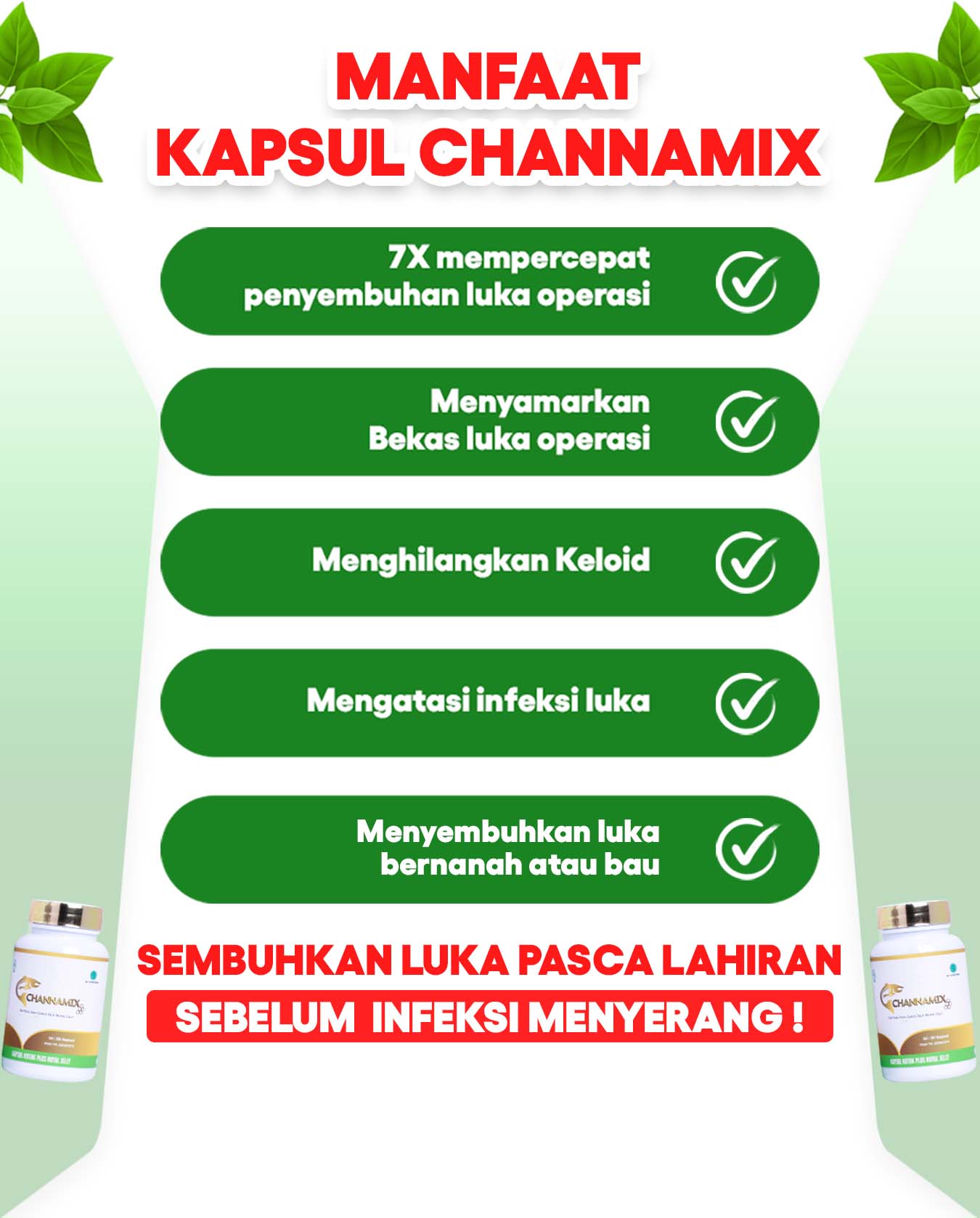 Jual Kapsul ikan gabus pengering luka caesar channamix kapsul ikan ...
