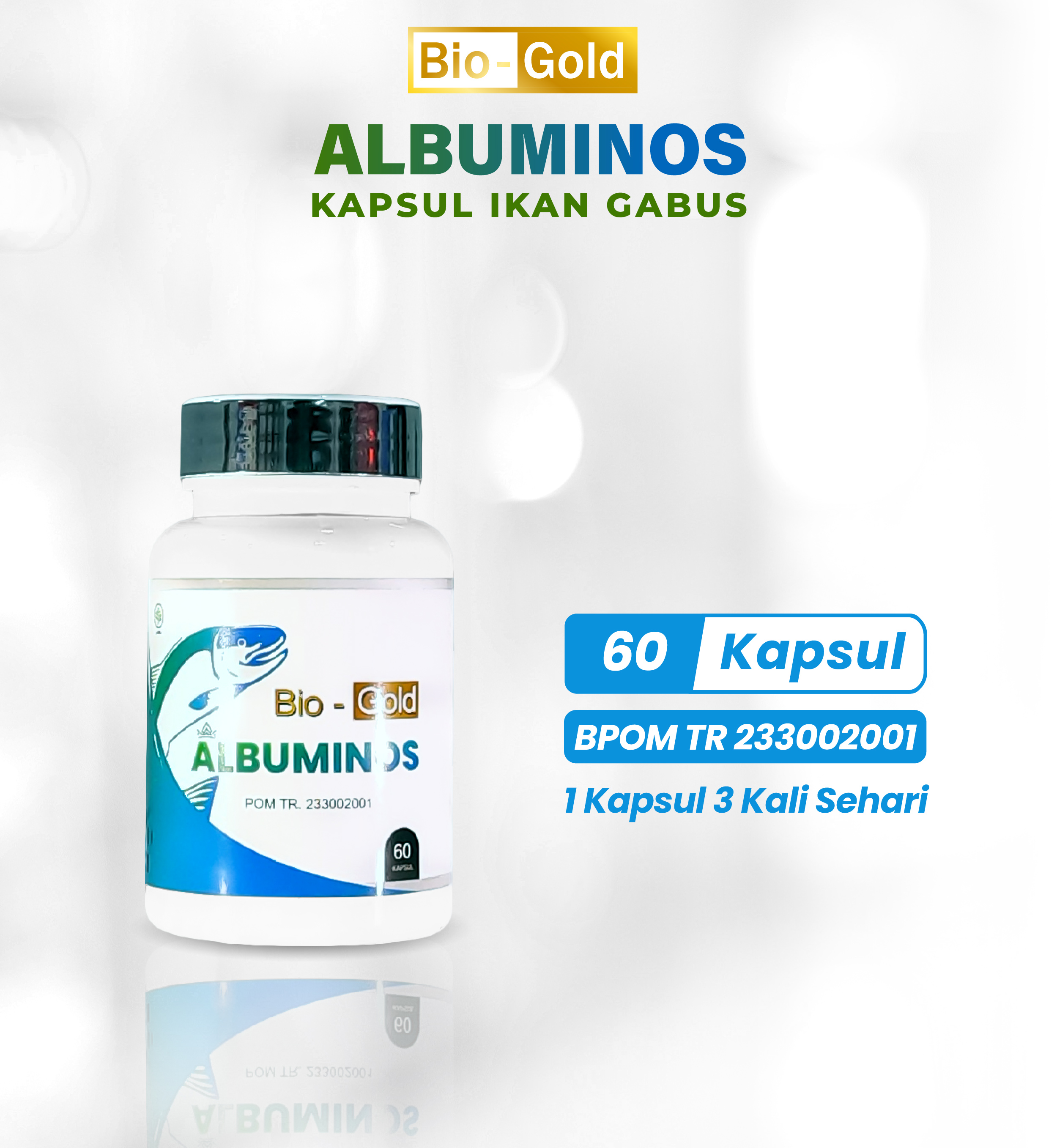 Jual Bio Gold - Bundling 2 Botol Albuminos Kapsul Ikan Gabus Channa ...